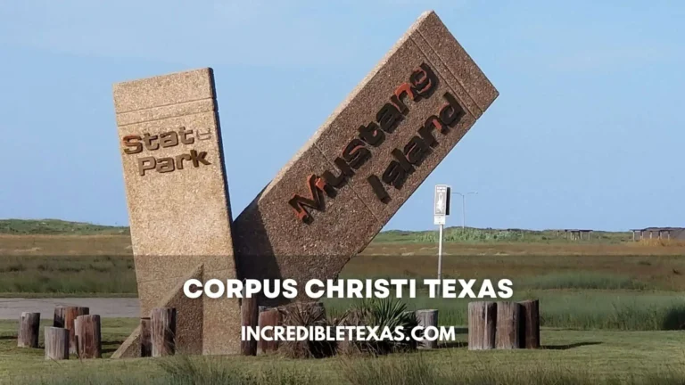 Best Things To Do In Fort Worth Texas In Summer, Winter, And Fall For ...