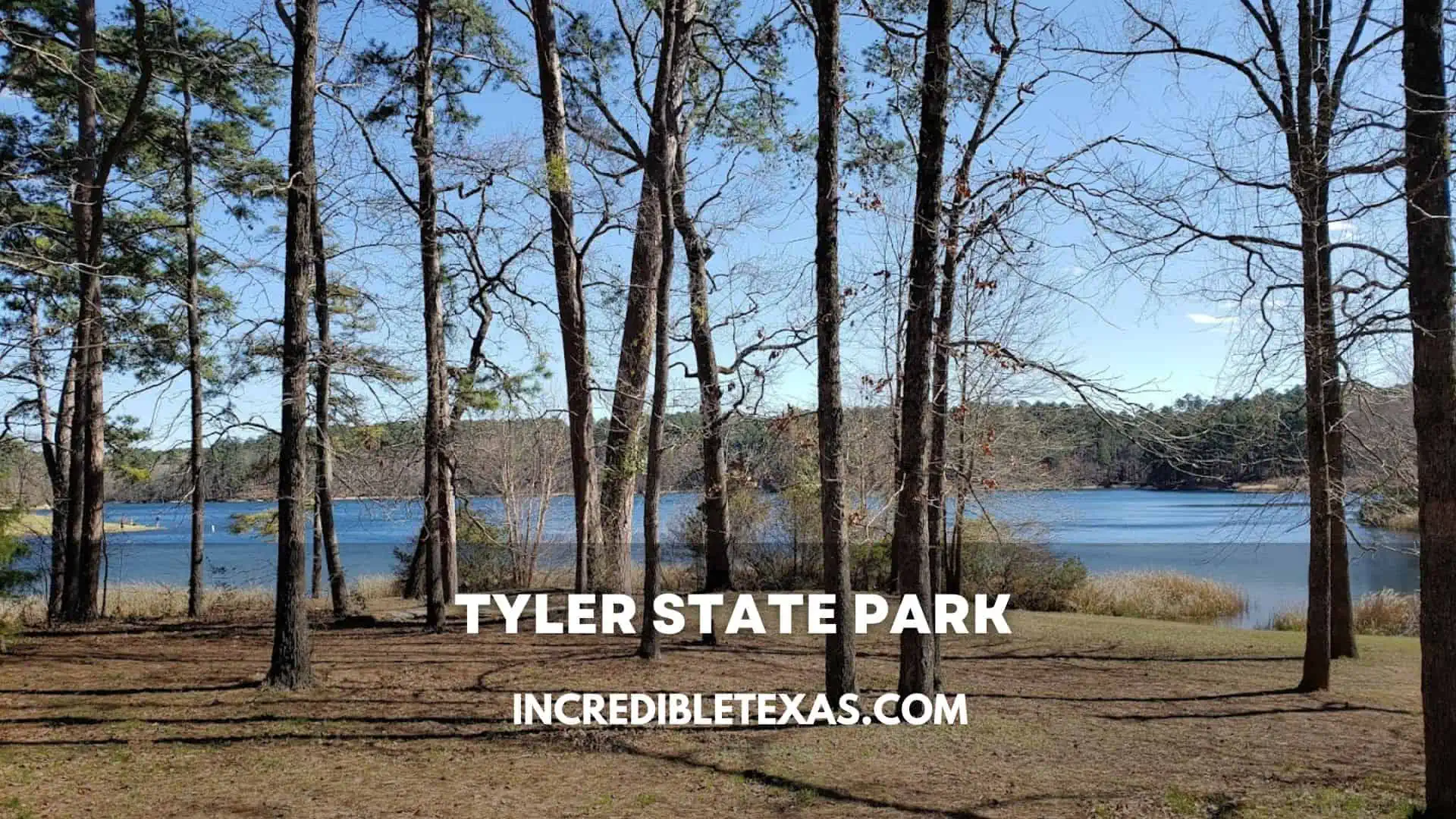 Tyler State Park Map, Hours, Pricing, Trails, Camping, Cabins ...