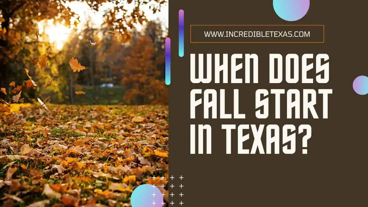 When Does Fall Start In Texas? - Incredible Texas