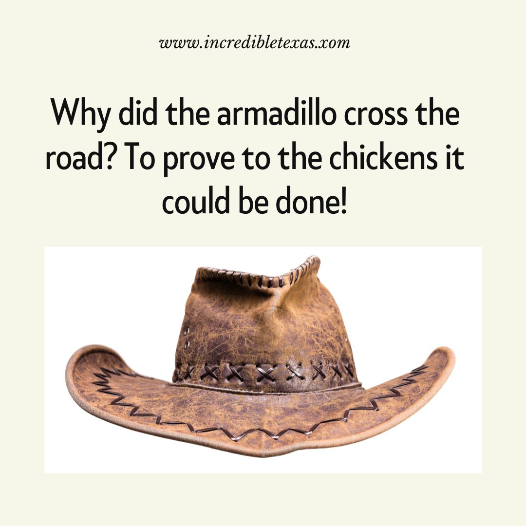 The Ultimate Collection Of 200 Hilarious Texas Jokes And Puns ...