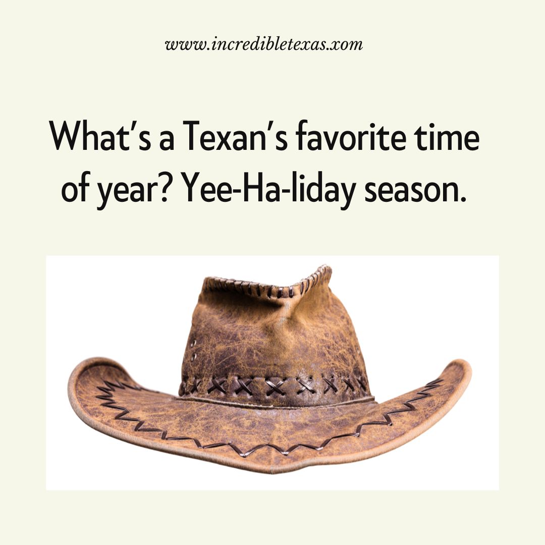The Ultimate Collection Of 200 Hilarious Texas Jokes And Puns ...