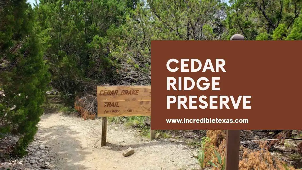 Cedar Ridge Preserve: Hours, Trails, Camping And Parking Details ...