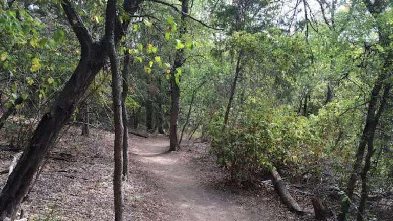 Top 10 Best Hiking Trails In Dallas TX - Incredible Texas