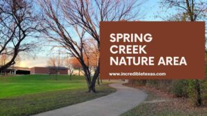 Ultimate Guide To Visiting Spring Creek Nature Area – Hiking, Trails ...